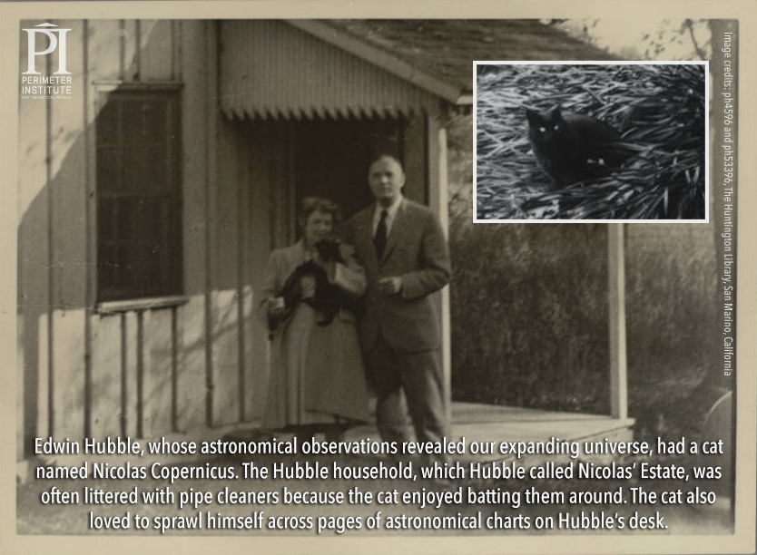 Ο γάτος του Αϊνστάιν – physicsgg